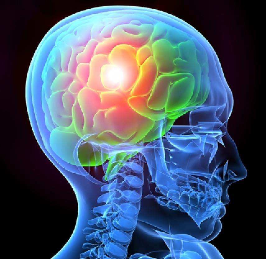 5 Important Brain Injury Recovery Steps | HOPE TBI